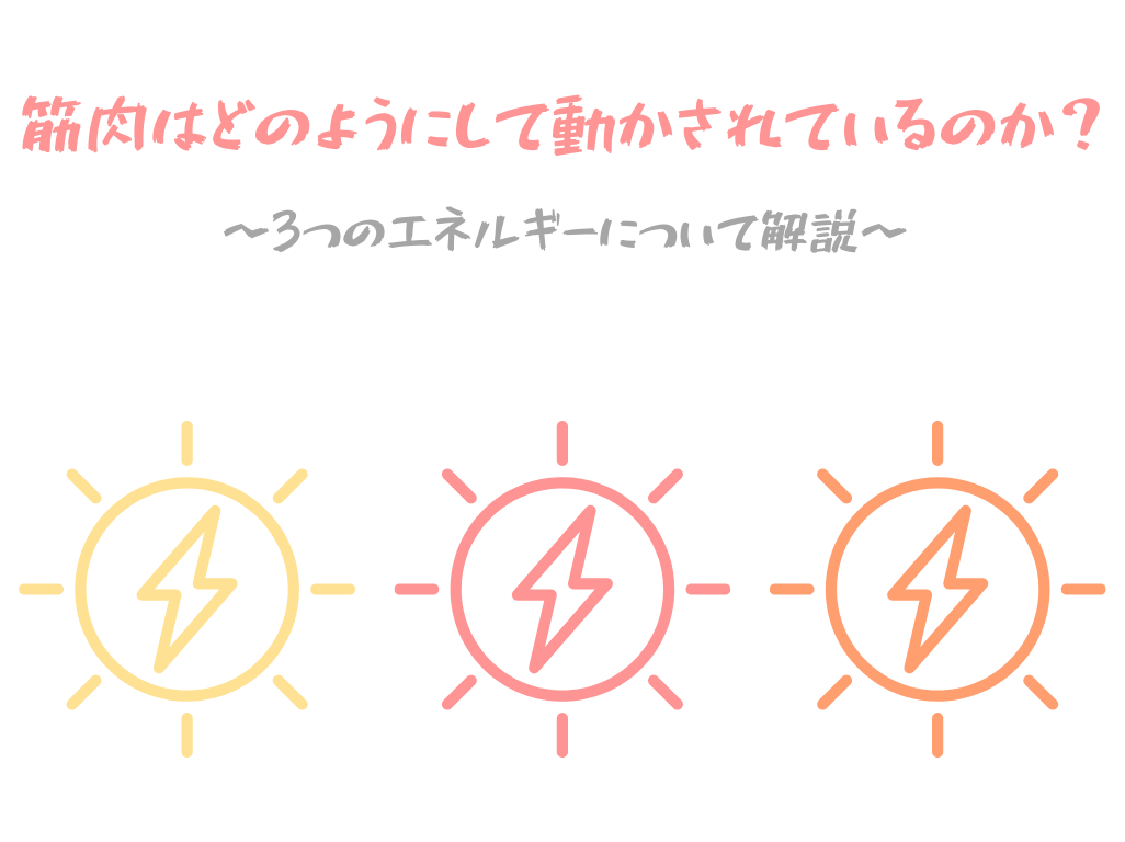 筋肉はどのようにして発達するのか？メカニズムを理解して筋トレの効果を高めよう | KEKEFIT